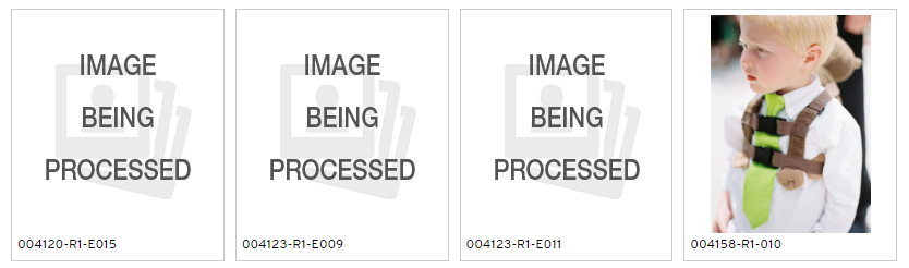 My Images Say Processing What Does That Mean Instaproofs Inc Support